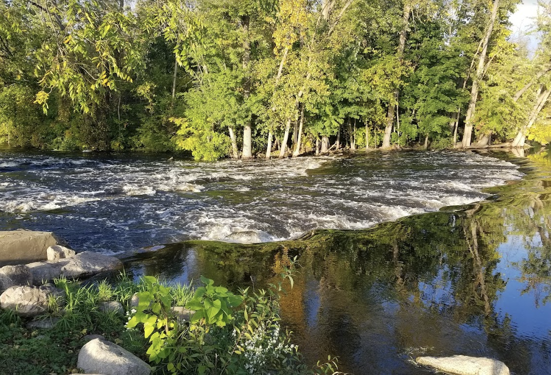 Best of Eaton Rapids - The Local Element Greater Lansing